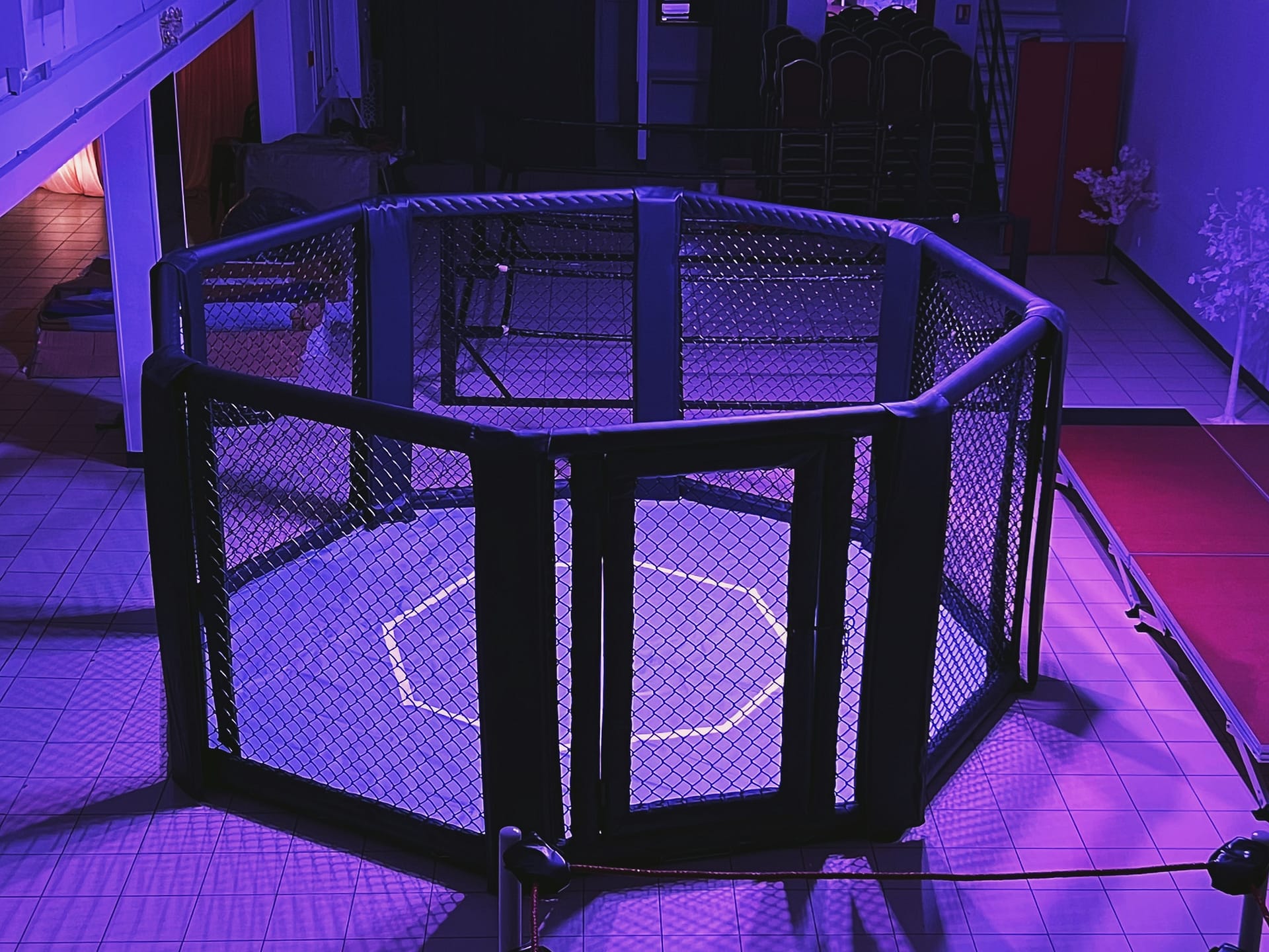 Cage MMA au sol - Sarl Fausto LSP - Location de ring de 2m à 7m